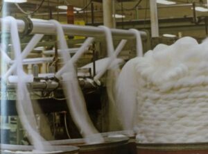 Unknown History of Wool